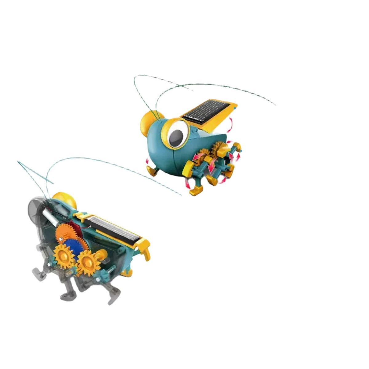 STEM Build Your Own Solar Powered Robot Cricket Learning Resource[PD ...